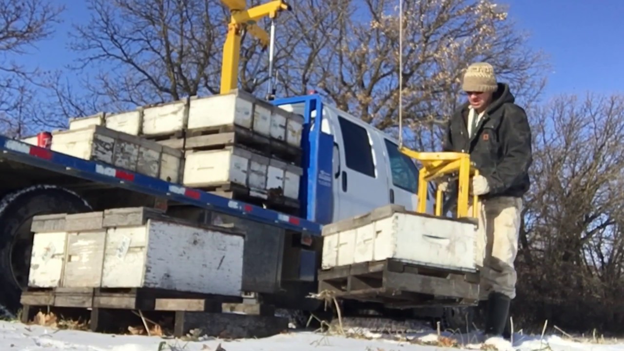 Picking Hives Frozen to the Ground With an Ezyloader-November 5 2019 ...