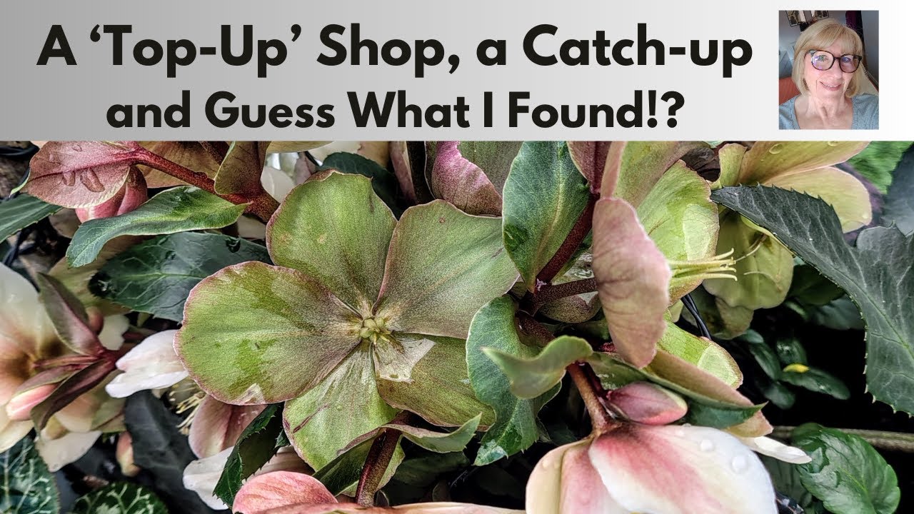 A 'Top-Up' Shop, a Catch-up and Guess What I Found!? - YouTube