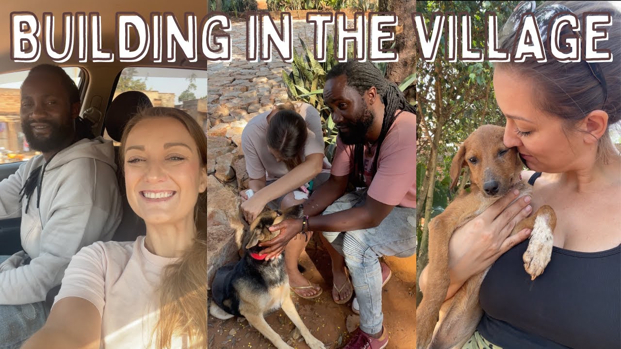 WE'RE BUILDING A DOG SANCTUARY | Our Rescue Dogs in Uganda 🐾🐶 - YouTube