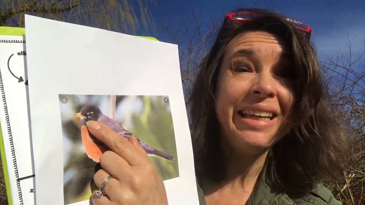 Backyard bird activity for Spanish class - YouTube