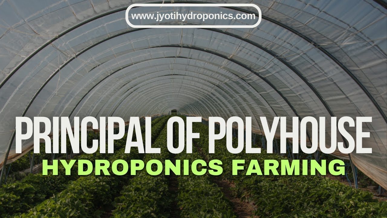 19. Principal of Polyhouse (Jyoti Hydroponics Farm) - YouTube