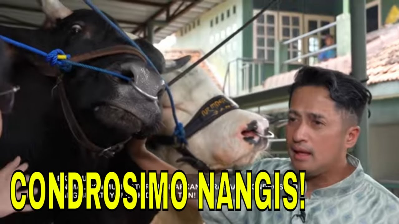 Condrosimo Nangis! Obrolan Irfan Hakim Bareng Condrosimo & Janoko | FYP ...