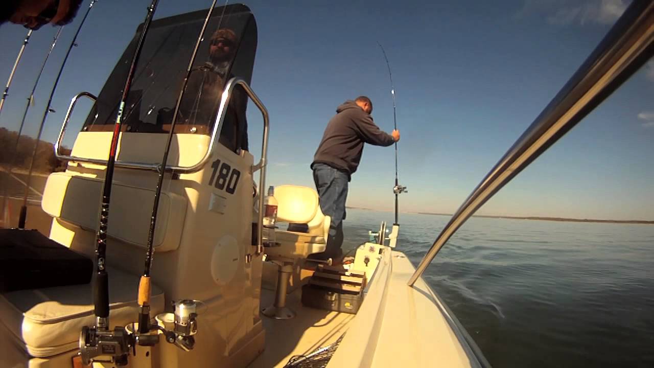 Video #64 // 100% GoPro Fishing - YouTube