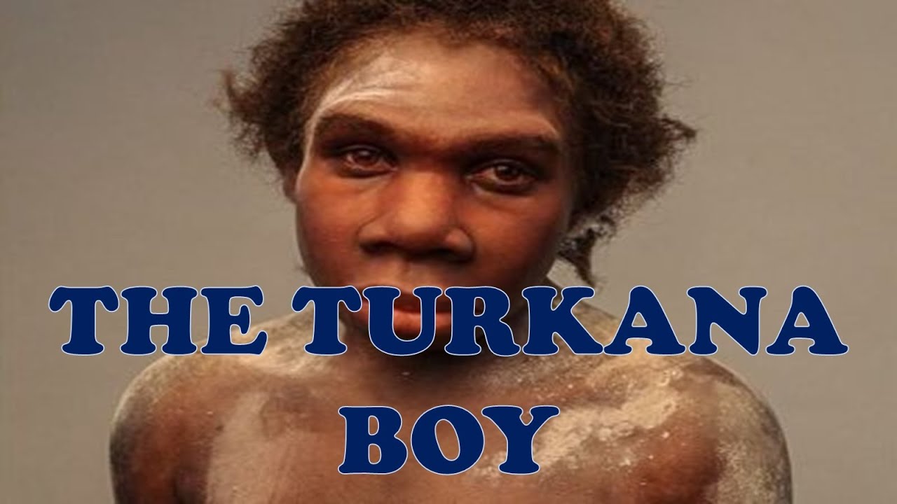 Turkana Boy | Explained - YouTube