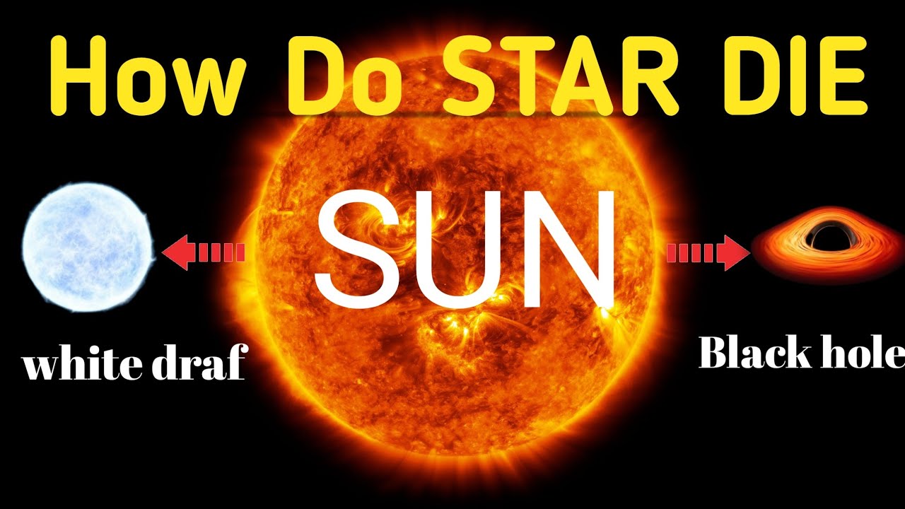 How Do STARS DIE!(SUPERNOVA)|Curious Vigyan - YouTube