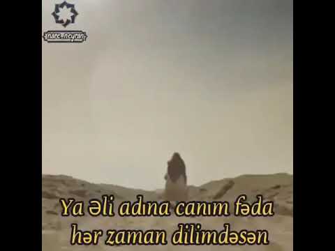 Allahın Aslanı Əli (ə.s)🌹🌹🌹🌹🌹