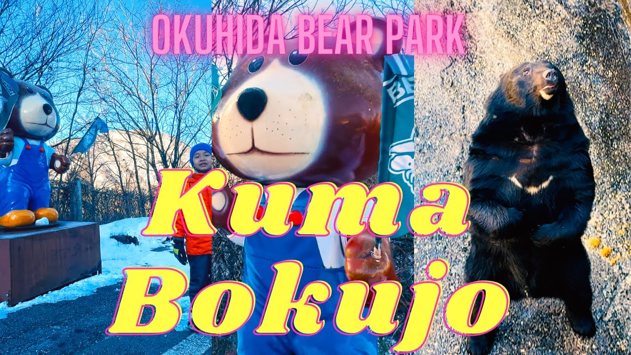 Kuma Bokujo/ Okuhida Bear Park / 奥飛騨クマ牧場 #japan #travel #gifu #bears #park #takayama #岐阜県 #高山市 ...