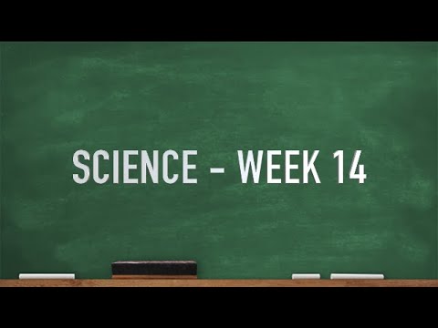 CC Cycle 2 Week 14 Science - YouTube