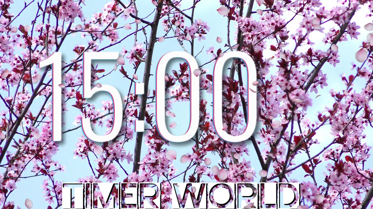 Stay Relaxed and Focused with 15 MINUTE TIMER and Soothing Background ...