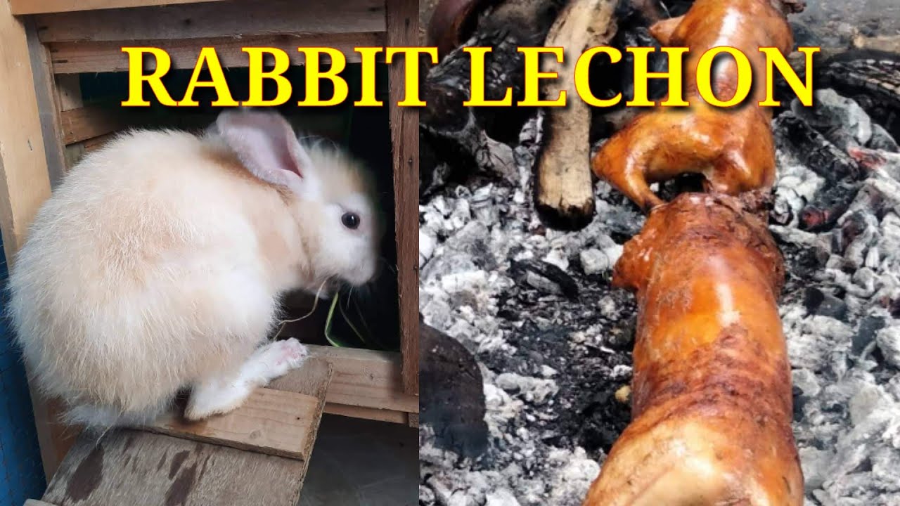 RABBIT LECHON IN ROMBLON - YouTube