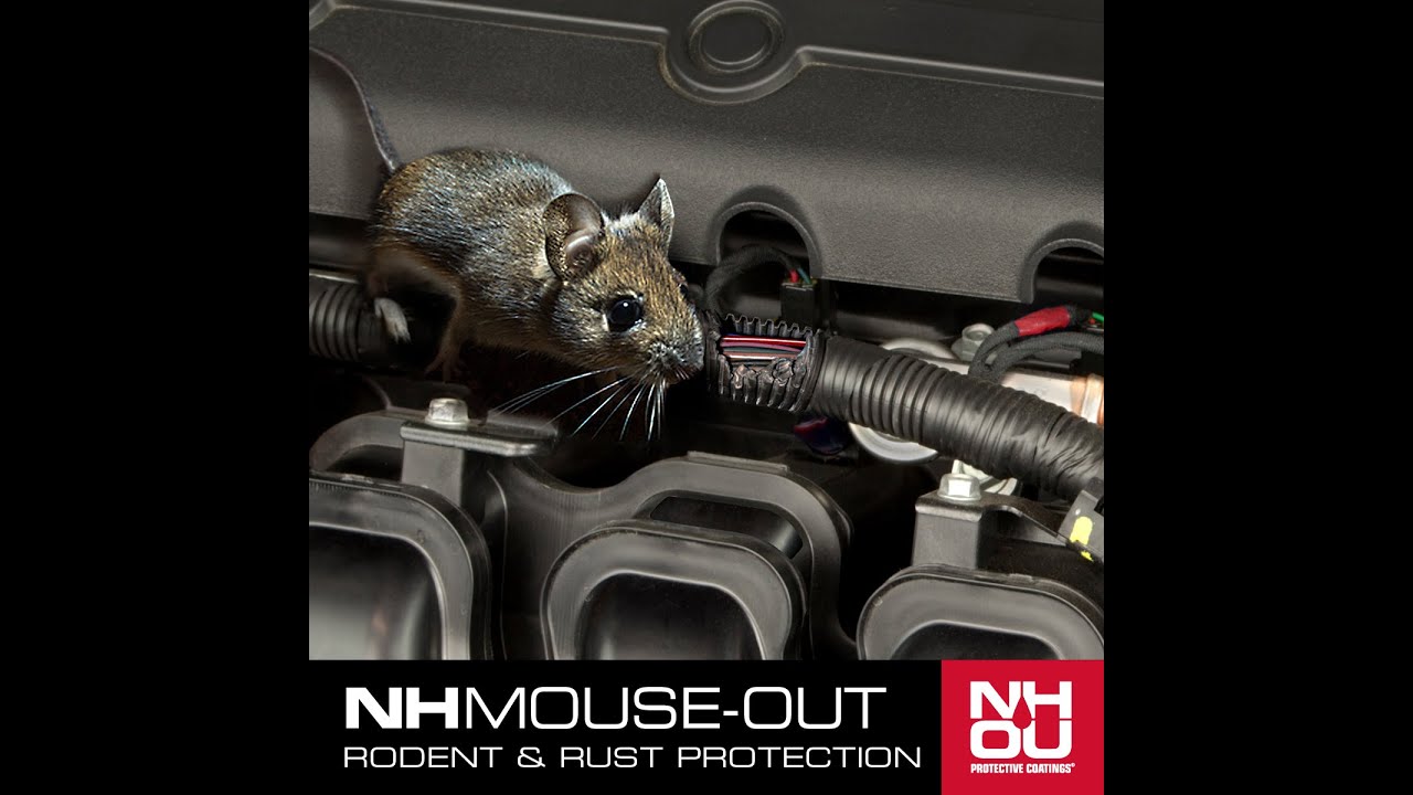 Motorhead Garage Keep the Mouse Out! - YouTube