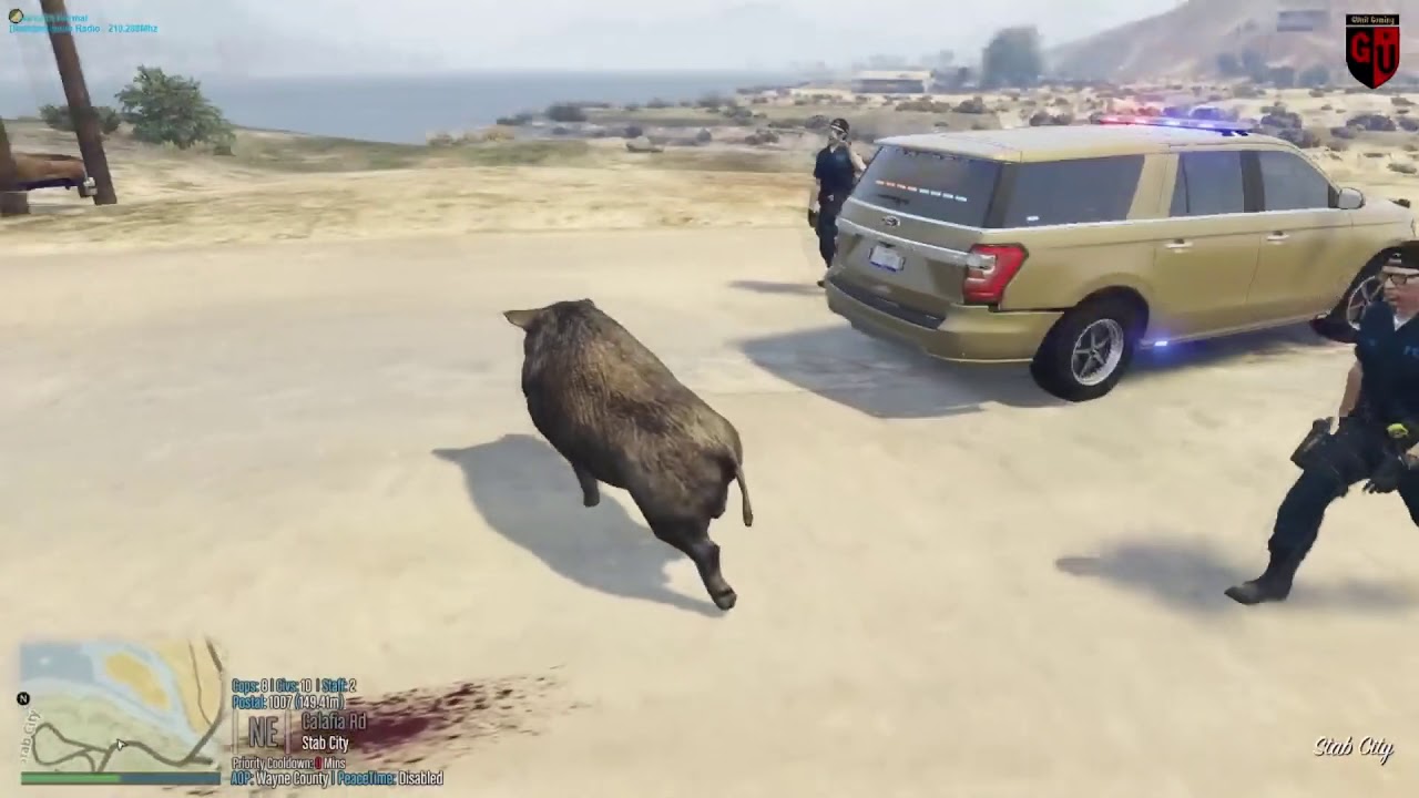 FiveM MSRP Collection of my animal RP scenes - YouTube