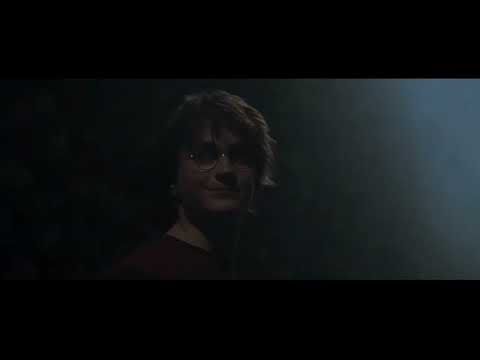 Harry Potter and the Goblet of Fire - The Third Task / The Maze