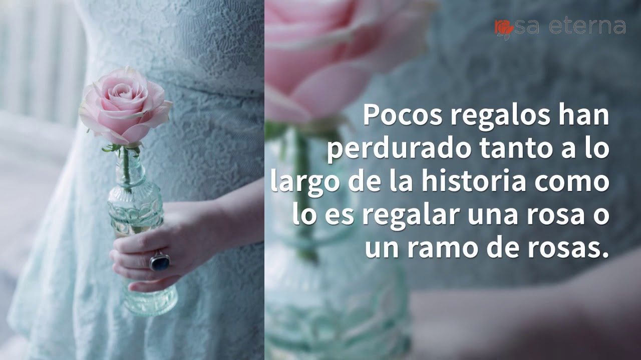 Rosa Eterna - Conoce las rosas preservadas - YouTube