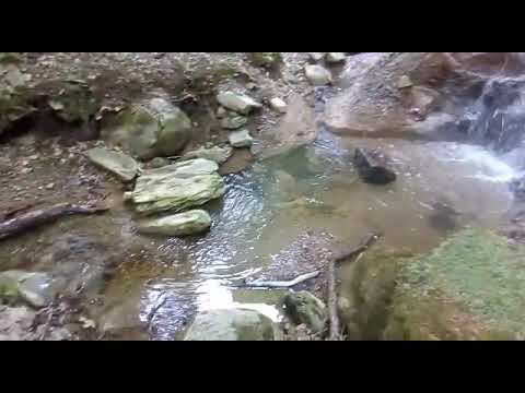 Oguz rayonu cekdi C.Ramin