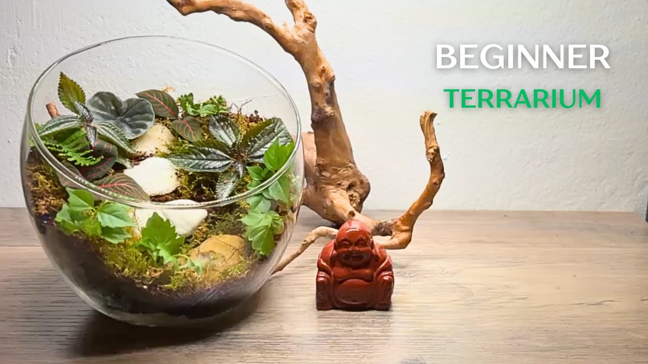 My very FIRST Terrarium! 🫢 - YouTube
