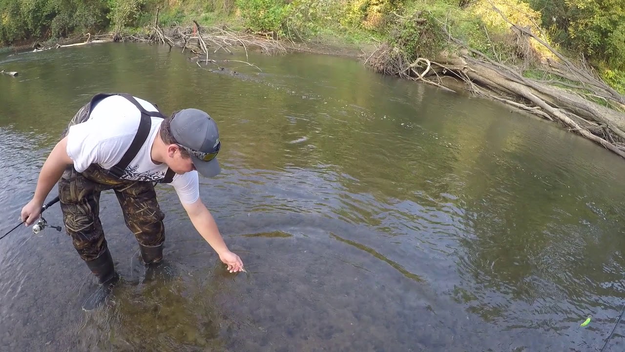 Hocking River Bass Fishing - YouTube