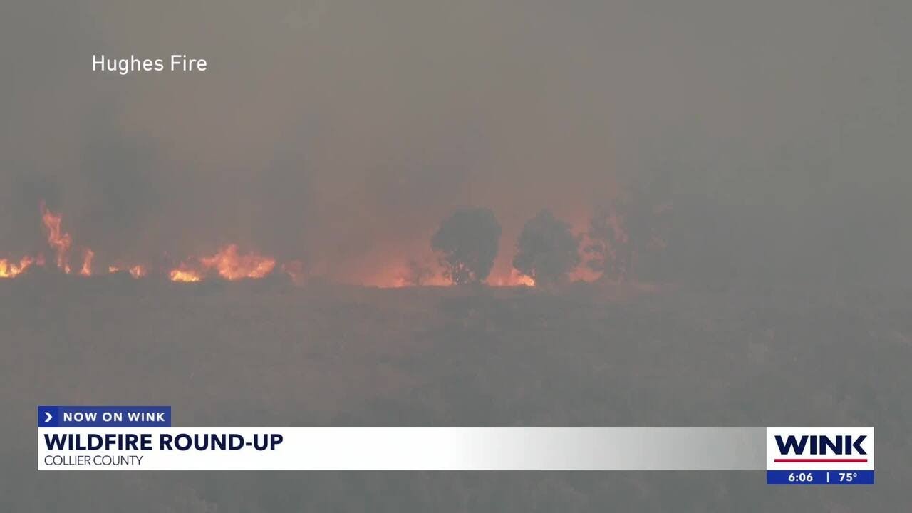 Collier County agencies unite to fight wildfire threats this dry season ...