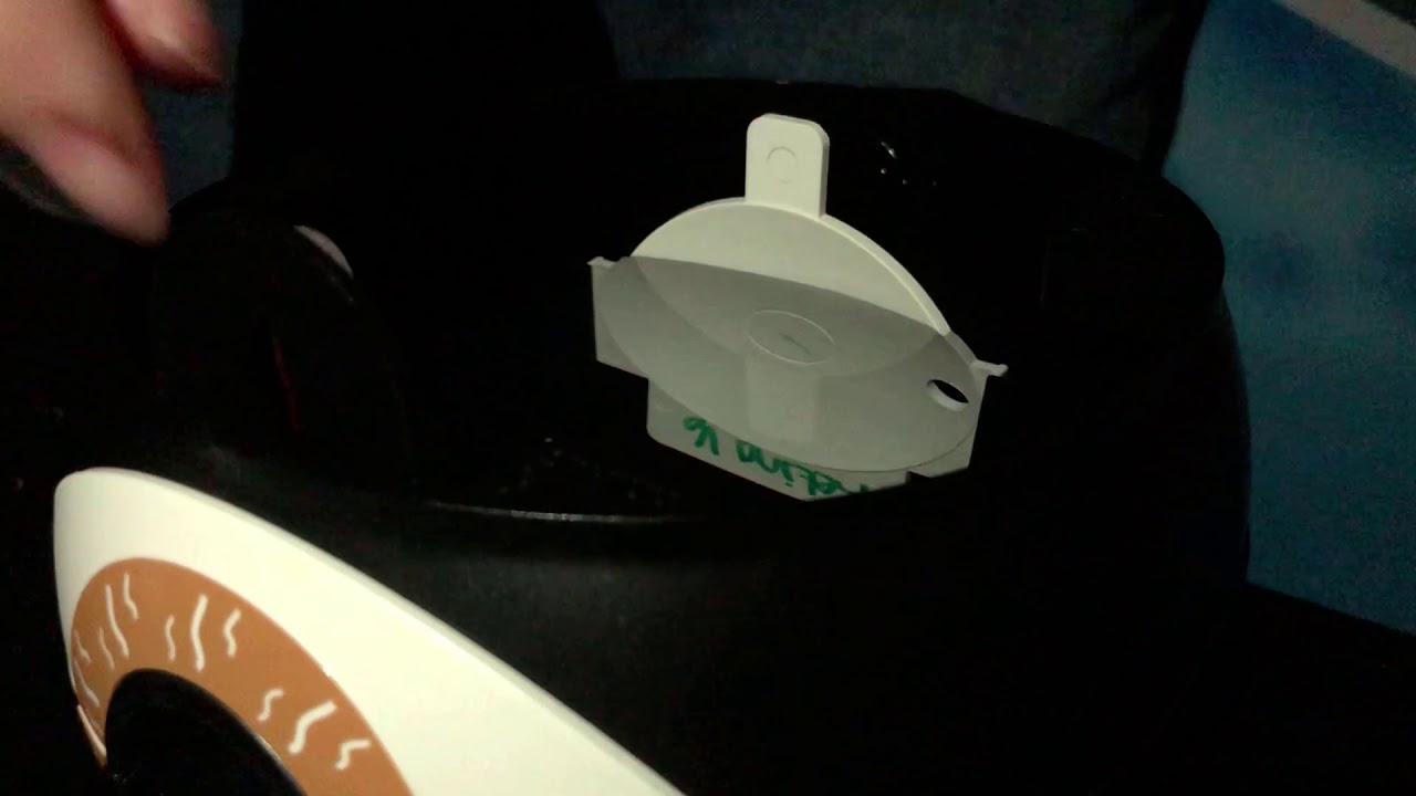 2.4.2 Pasco Eye Model - YouTube