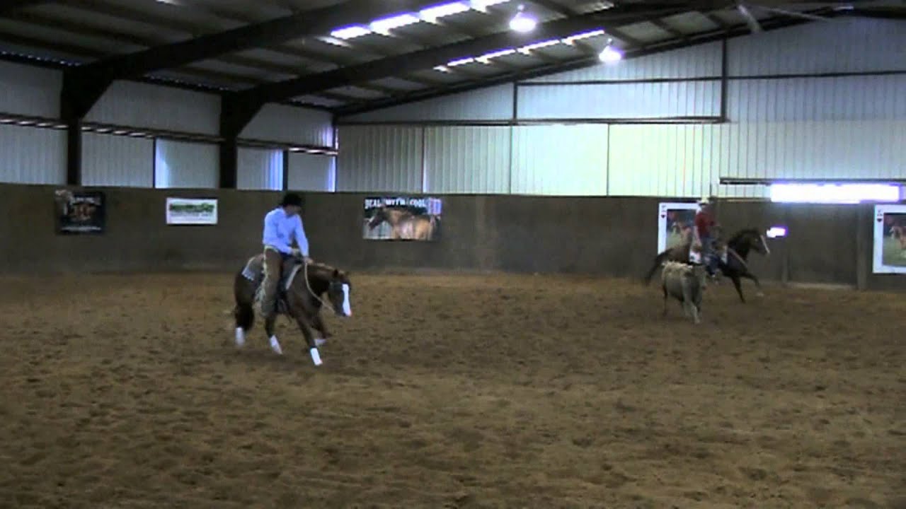 CD Highlights - YouTube