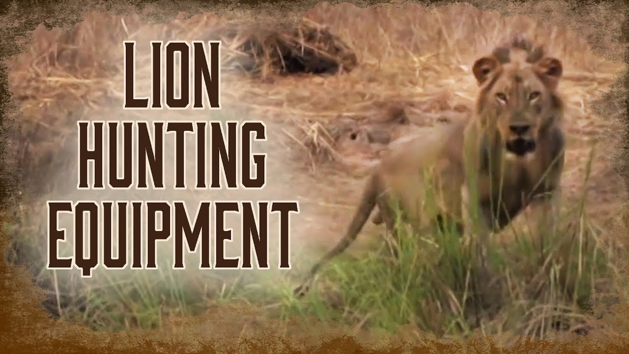 Equipment Needed for Lion Hunting | 3 - YouTube