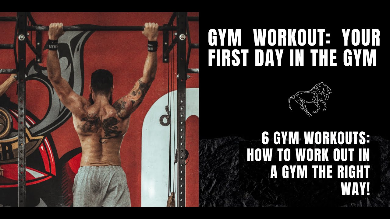 Gym Workout: Your first day in the gym || 6 Gym Workouts: How to Work ...
