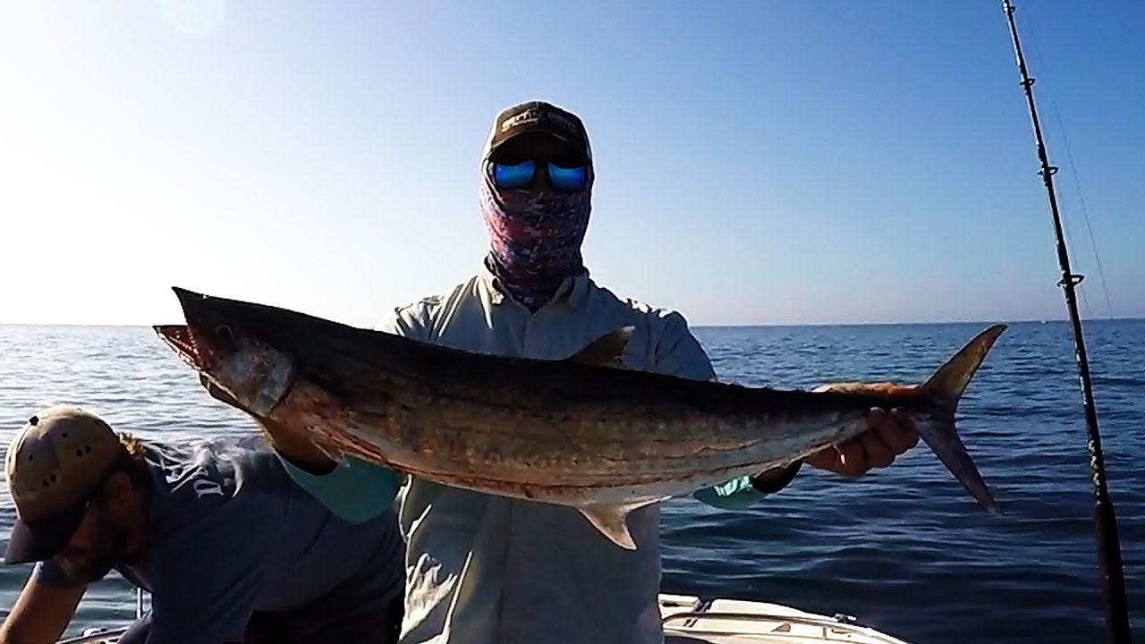 Crystal River Reef- Snapper Fishing with Billy - YouTube