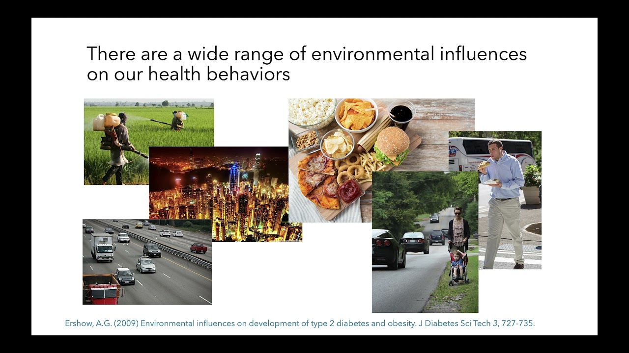 What is an Obesogenic Environment? - YouTube