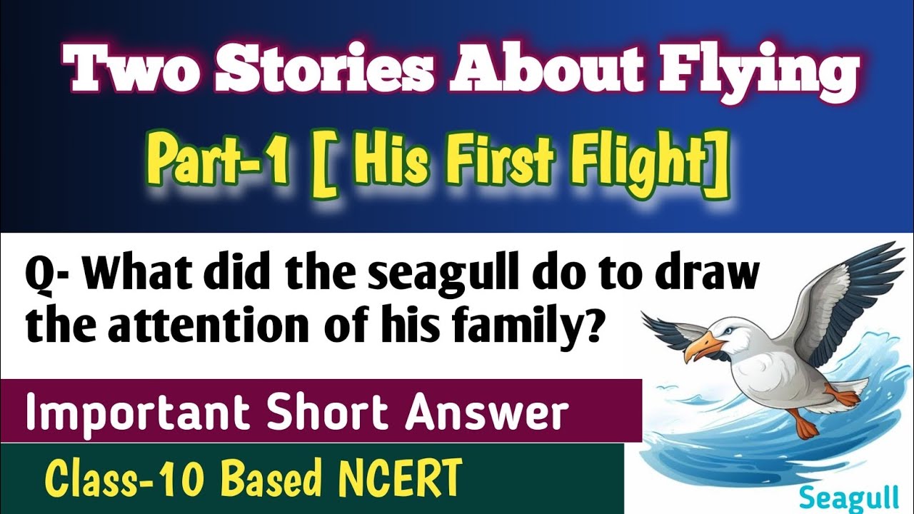 What did the seagull do to draw the attention of his family? His first ...