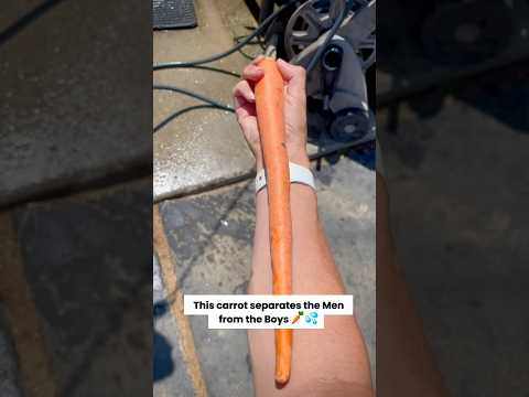 Dilson = throat of steel 😳 … Zapphire = heart of gold 💛 #goldenhorse #swedishwarmblood