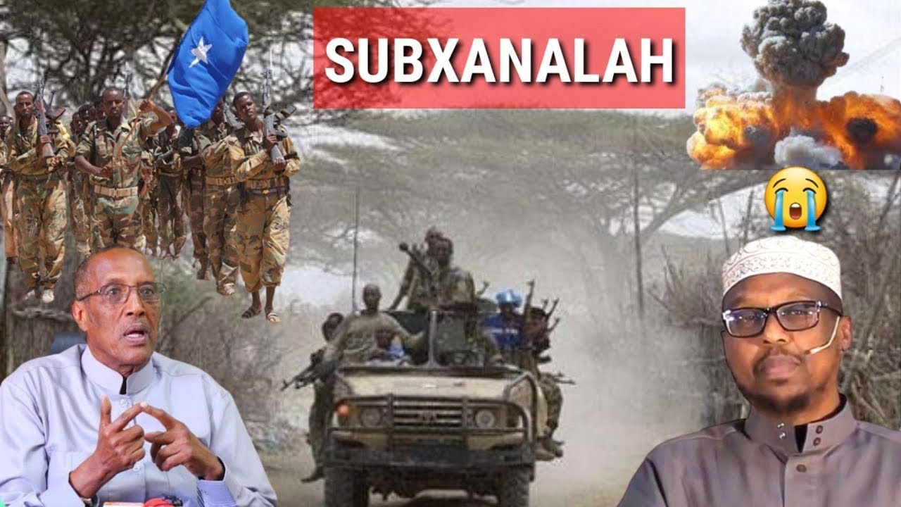 Daawo;-Culimada Somaliland Oo Runta U Sheegay Muuse Biixi Iyo Dagaalka ...