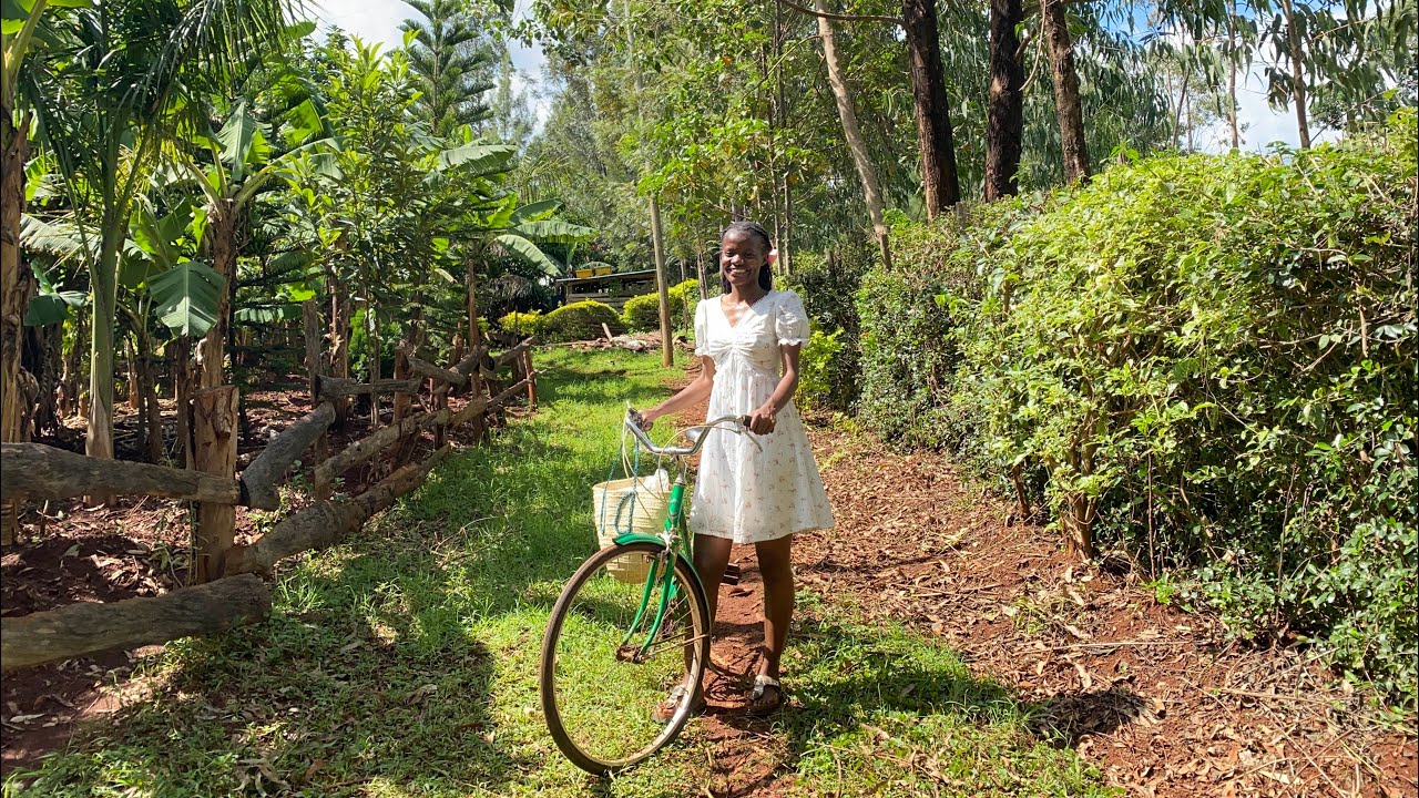 How One Year of Living in the Countryside Healed Me🧚🏽| My Village Life ...