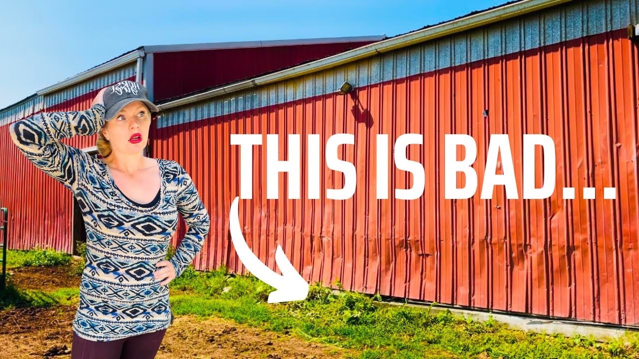 OUR HORSE BARN HAS A MAJOR PROBLEM! - YouTube