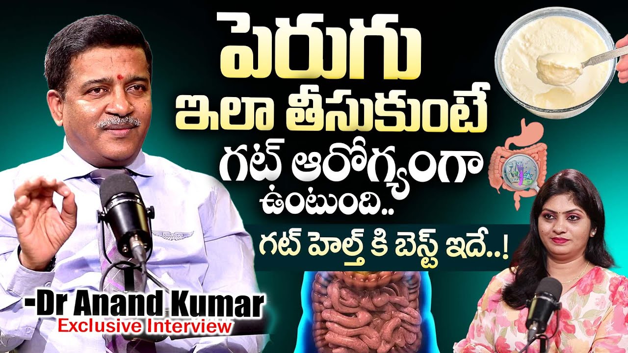 పెరుగు ఇలా తీసుకుంటే గట్ ఆరోగ్యంగా ఉంటుంది |Best Food For Gut Health ...