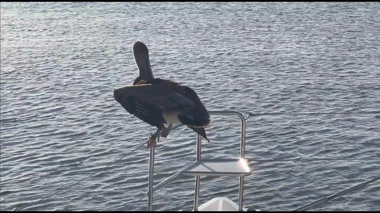 GIWW Bolivar, Texas to New Orleans, Louisiana (Part 1) - YouTube