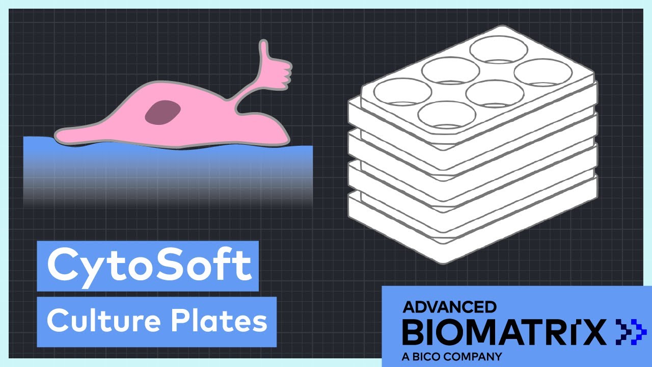 CytoSoft Introduction by Advanced BioMatrix - YouTube