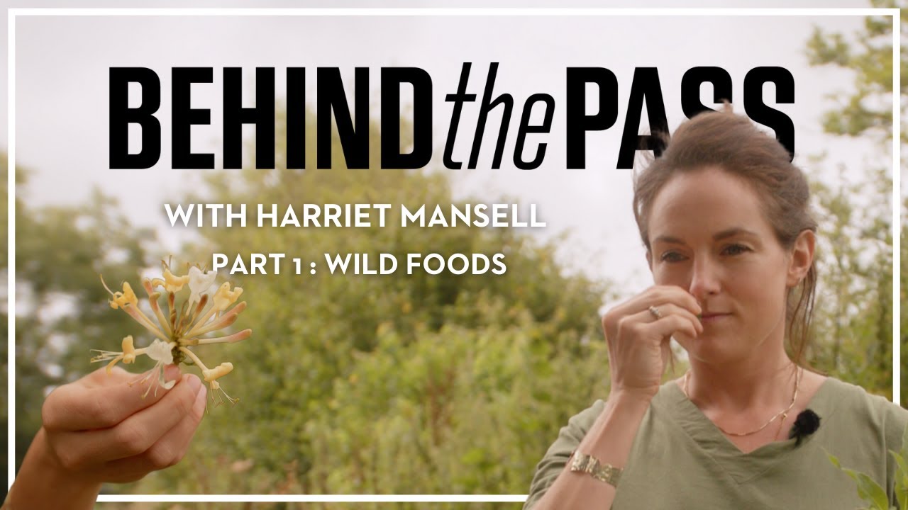 Harriet Mansell on Wild Foods - YouTube