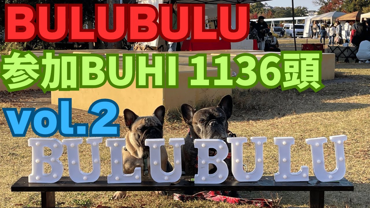 【BULUBULU】参加BUHI 1136頭！西日本最大級のイベント！vol 2 - YouTube