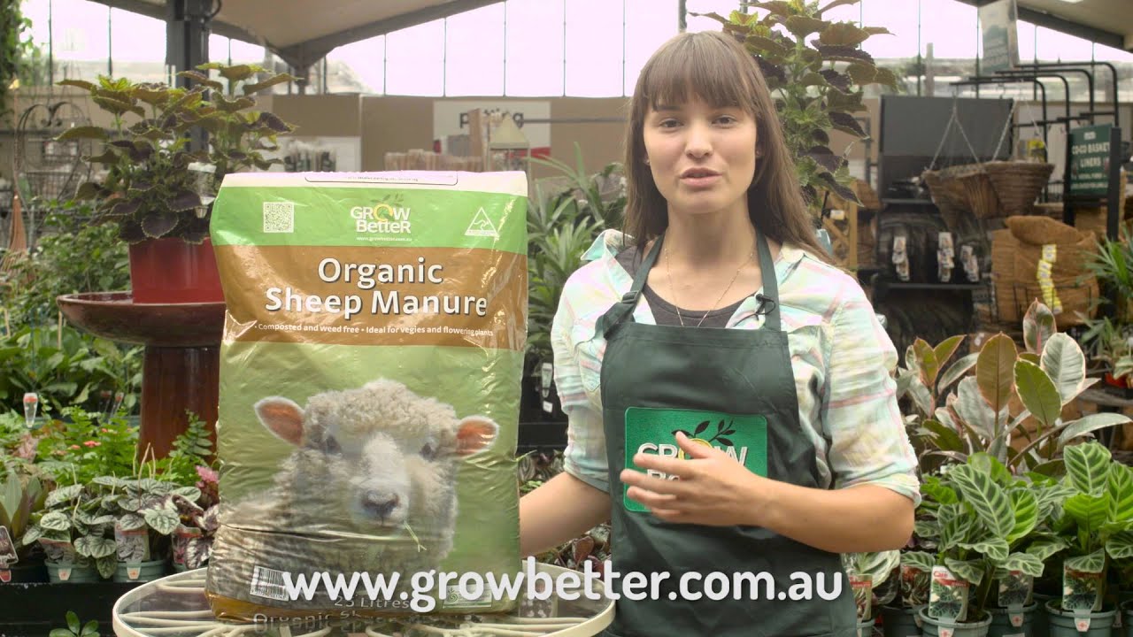 Grow Better Sheep Manure - YouTube