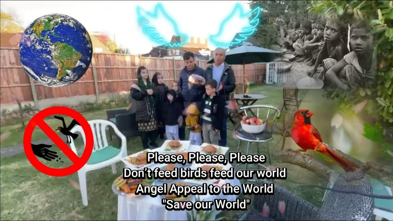 Angel Appeal to Humanity- Save Our World - YouTube