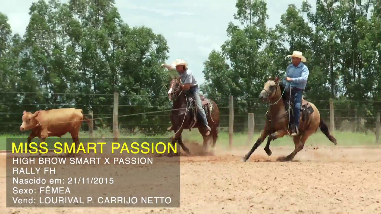 07 MISS SMART PASSION - YouTube