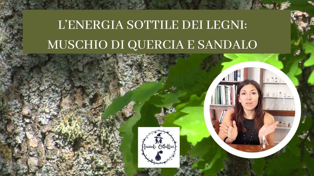 L'ENERGIA DEI LEGNI: MUSCHIO DI QUERCIA E SANDALO - YouTube