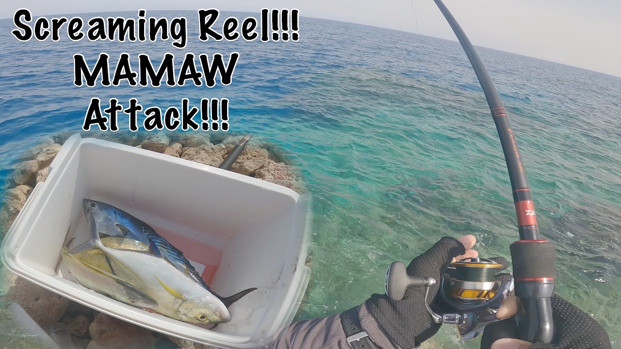 Shore Jigging | Medium Light Setup | Micro Jigging | Mga mala halimaw ...