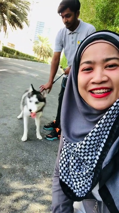 30 November 2022 - YouTube