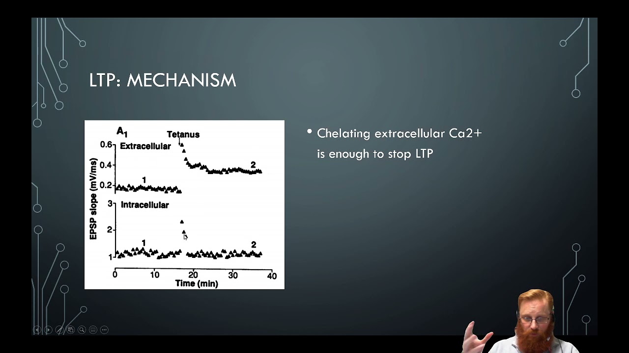 Neural Plasticity 4 - The Mechanism of LTP - YouTube