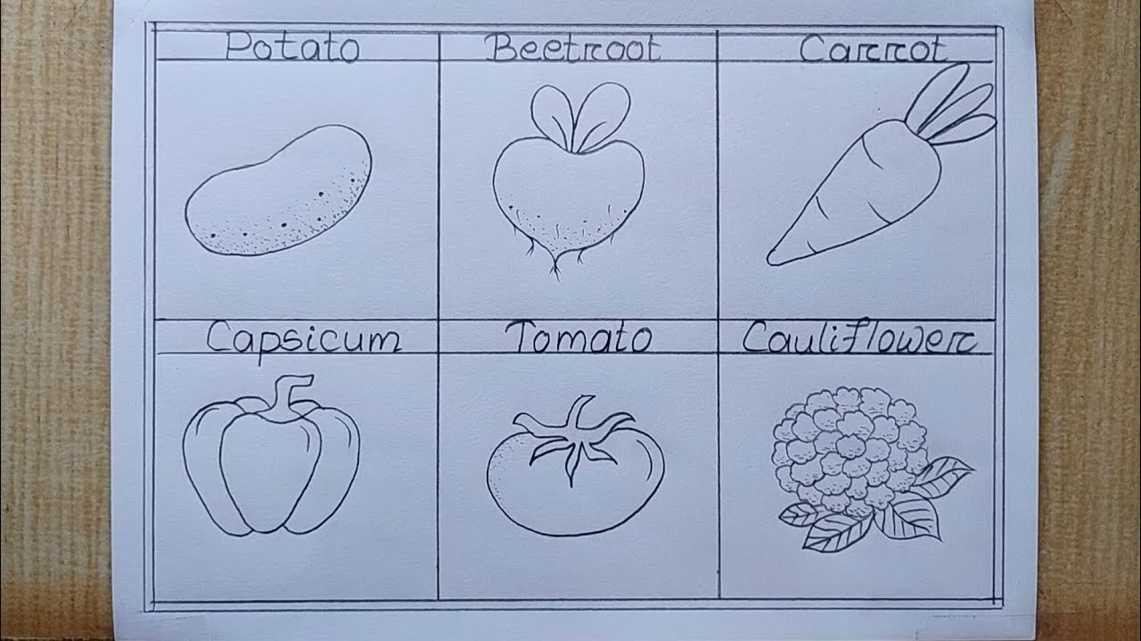 Different types of Vegetables drawing easy| How to draw 6 Different ...