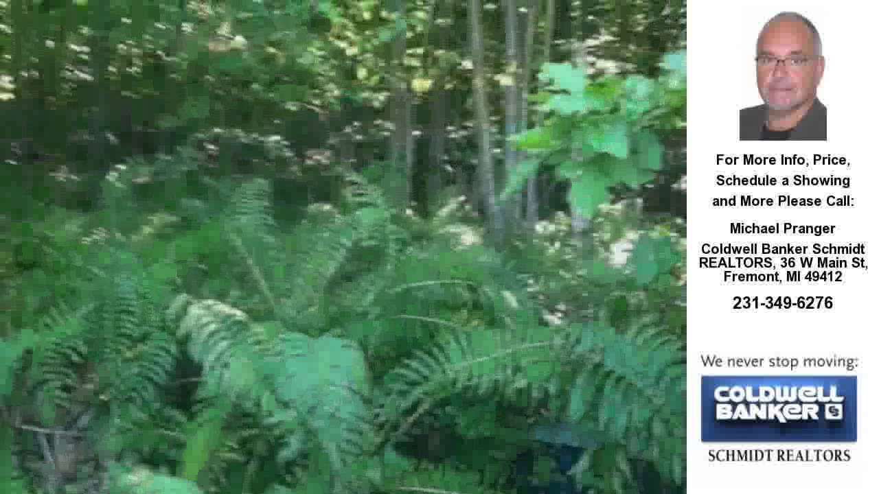 7648 E YONKER Road, Hesperia, MI Presented by Michael Pranger. - YouTube