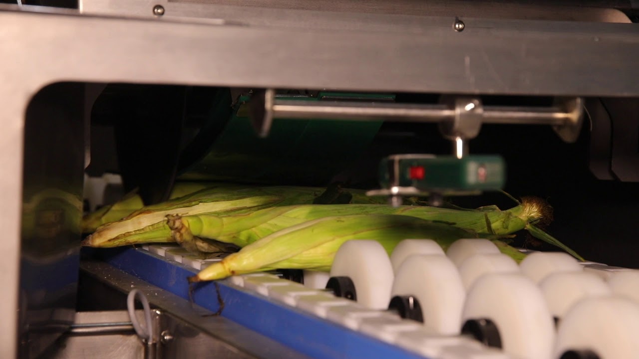 Corn Cobette & Tail Cutter / Mısır Koçan & Püskül Kesme - YouTube