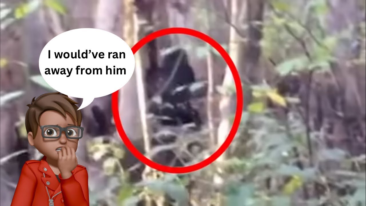 5 mysterious creatures caught on camera (100th vid)🥳 - YouTube
