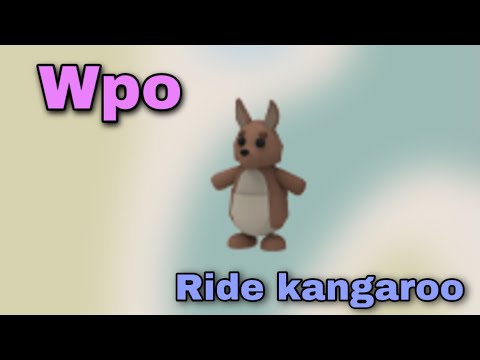 What People Offer For A Ride Kangaroo - YouTube